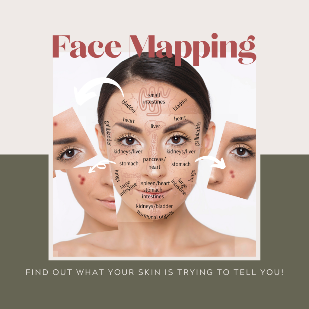 Functional Face Mapping: What Your Skin May Be Telling You – Kingdom ...